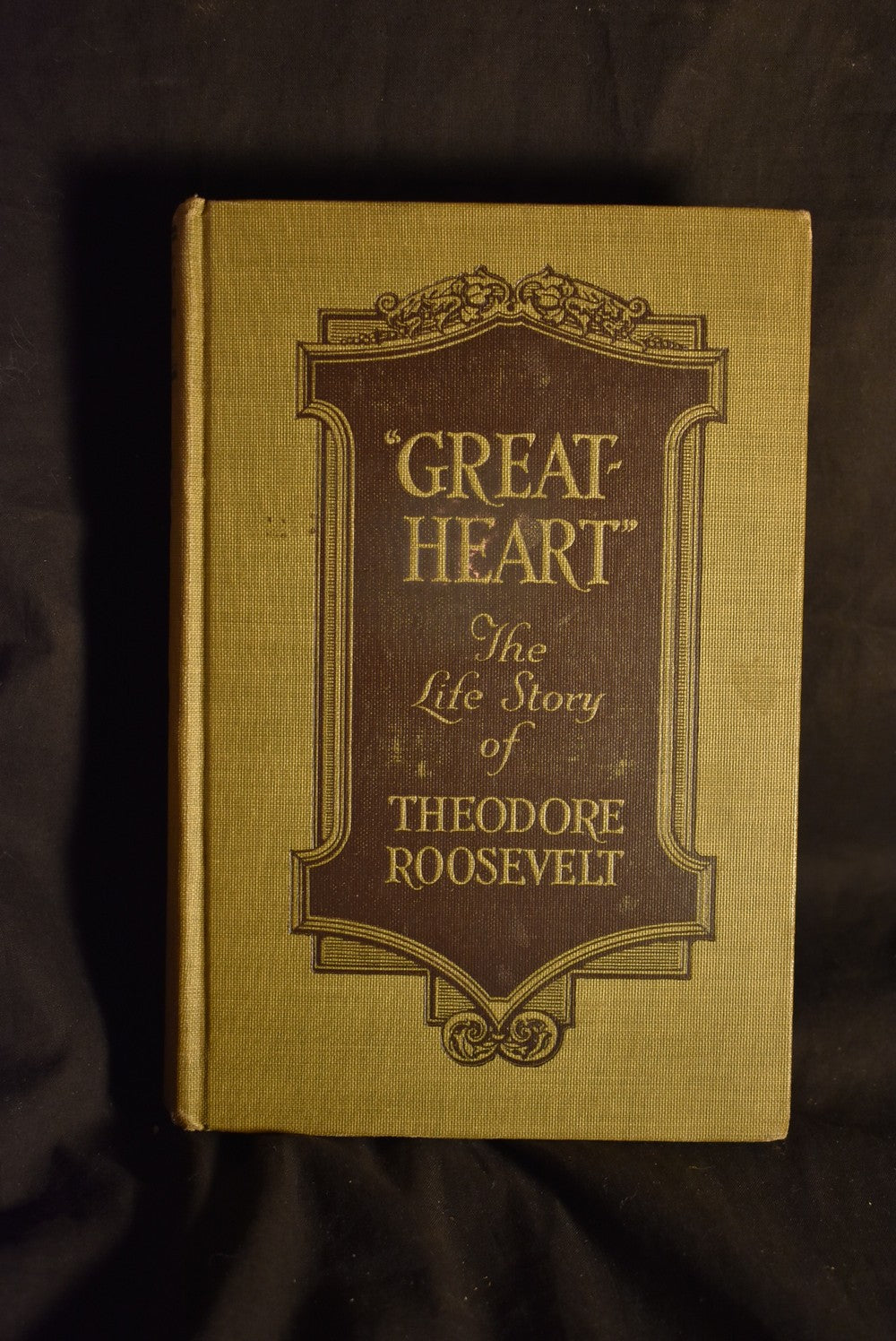 Great Heart: The Life Story of Theodore Roosevelt – History Bound