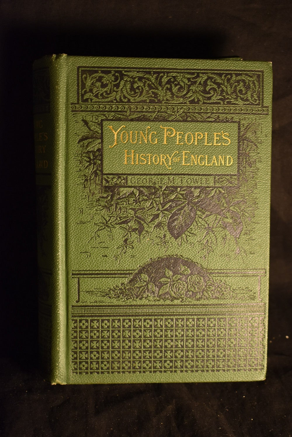 Young People's History of England – History Bound