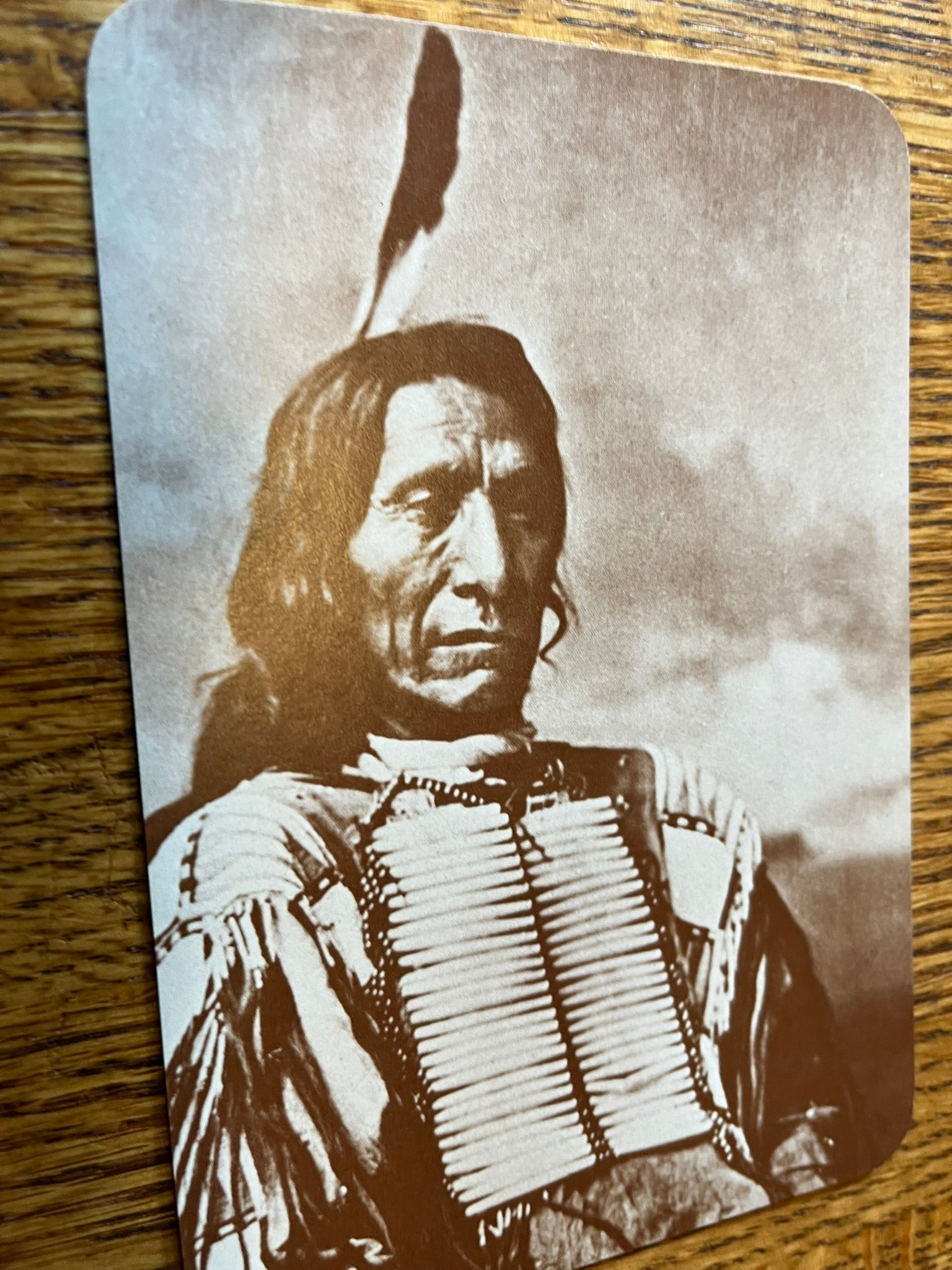 Red Cloud - Chief of the Sioux – History Bound