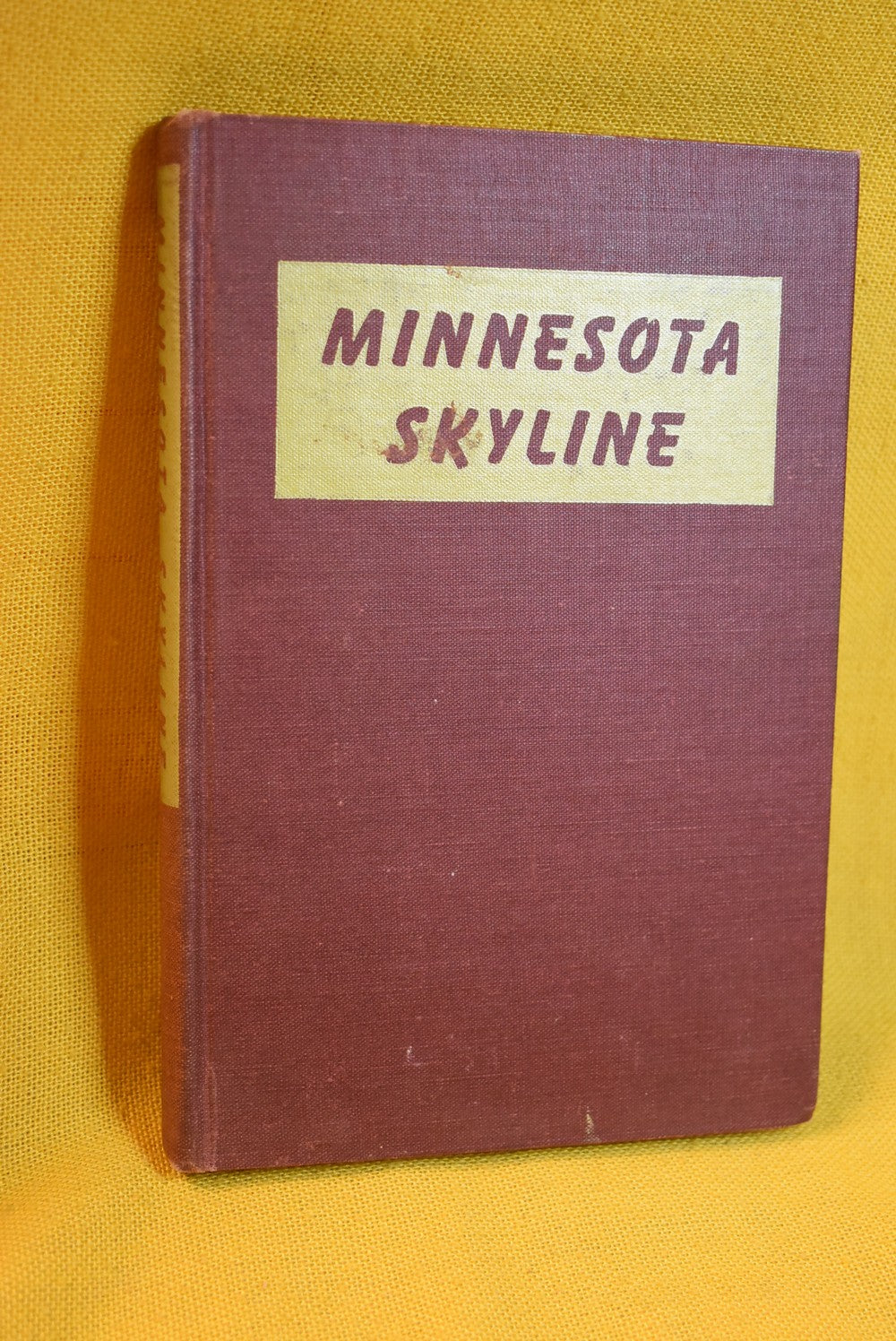 Minnesota Skyline: Anthology of Poems About Minnesota – History Bound
