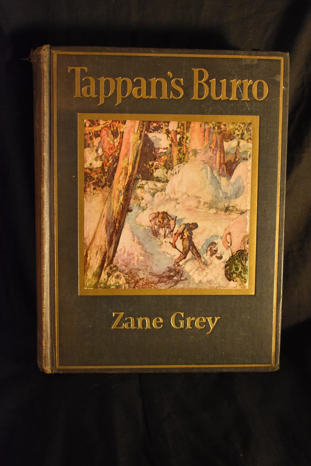 Tappan's Burro – History Bound