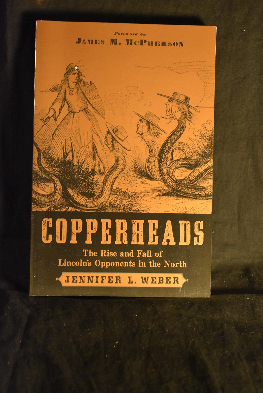 Copperheads: The Rise and Fall of Lincoln's Opponents in the North ...