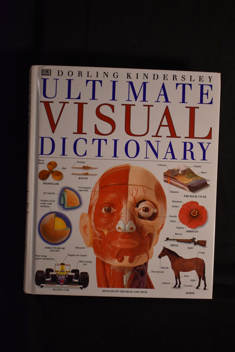 Ultimate Visual Dictionary – History Bound