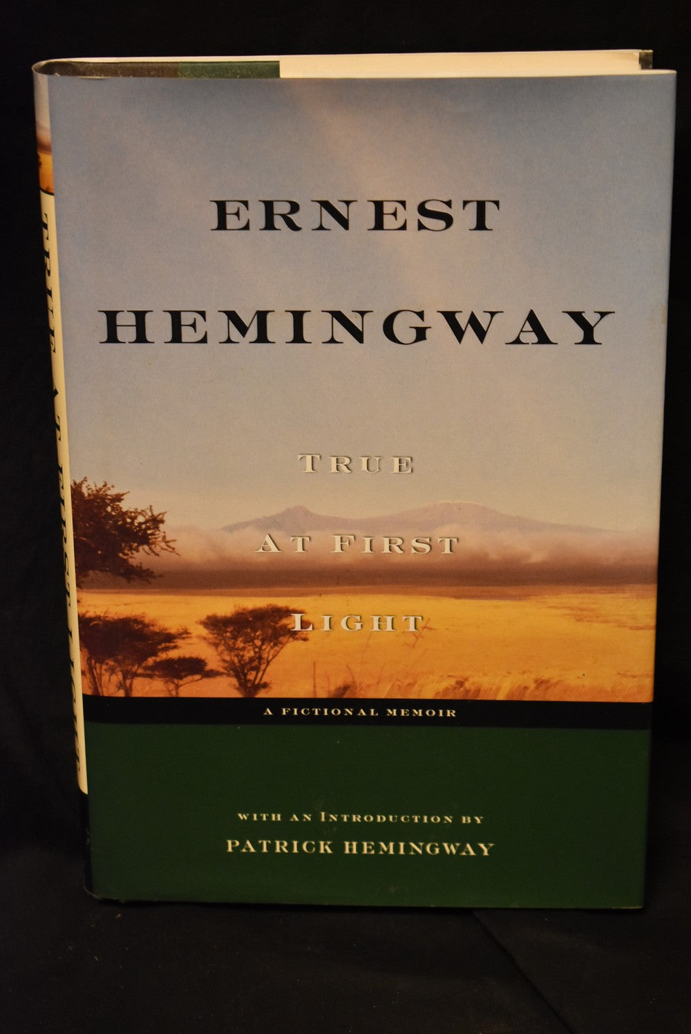 True At First Light: A Fictional Memoir – History Bound