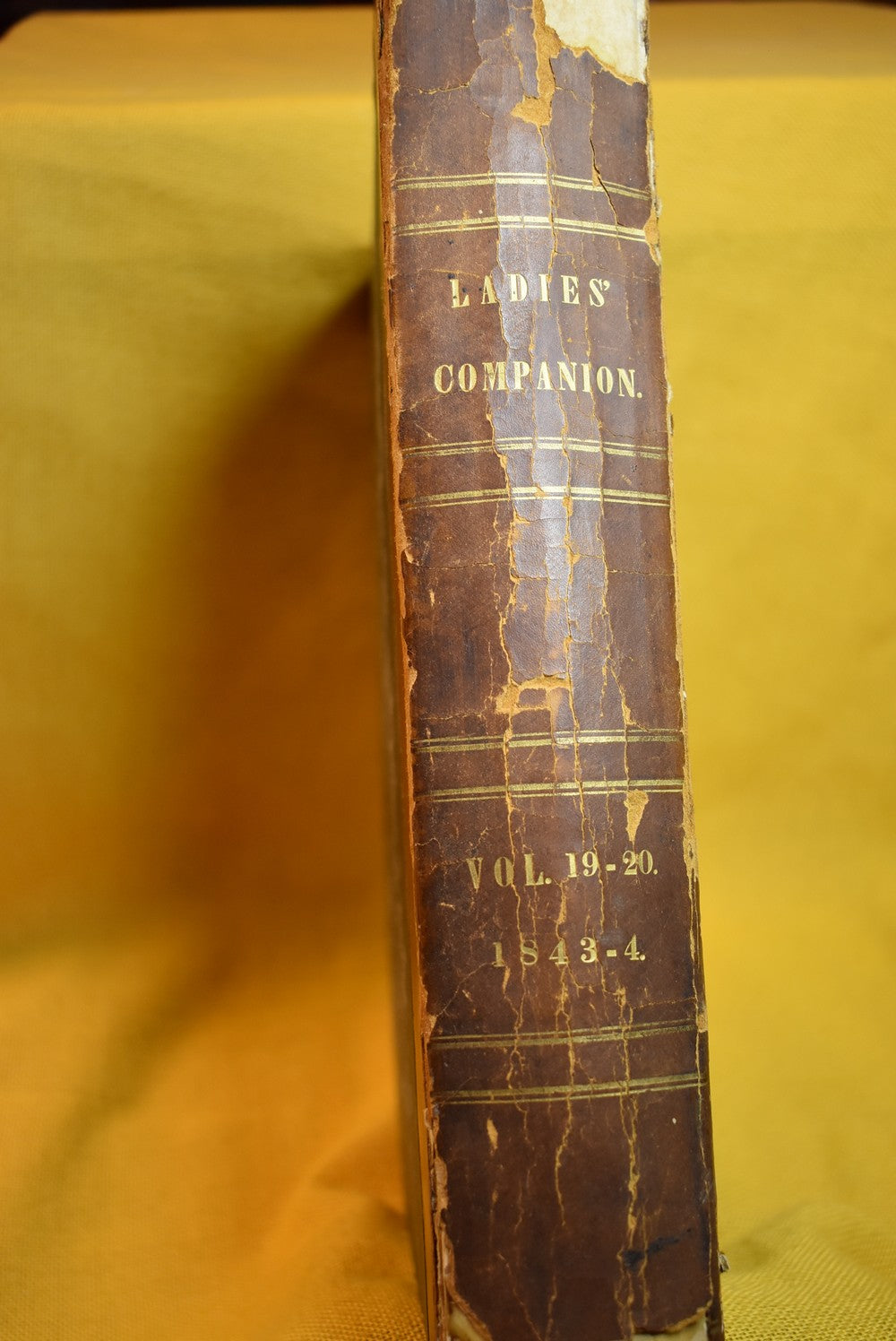 The Ladies Companion and Literary Expositor – History Bound