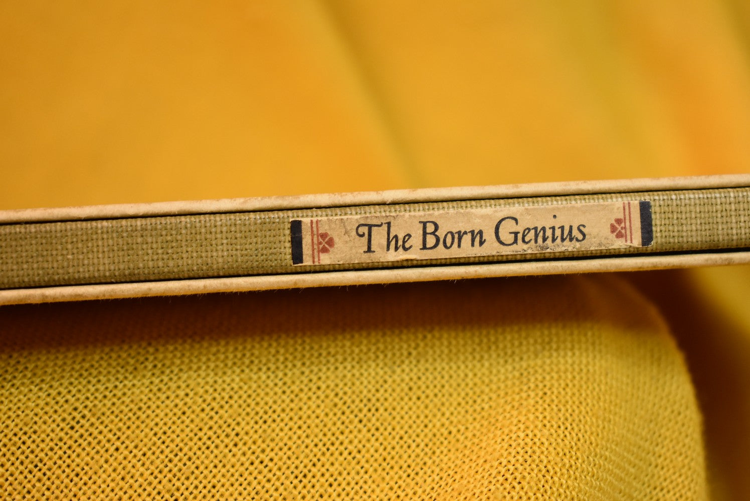 The Born Genius – History Bound