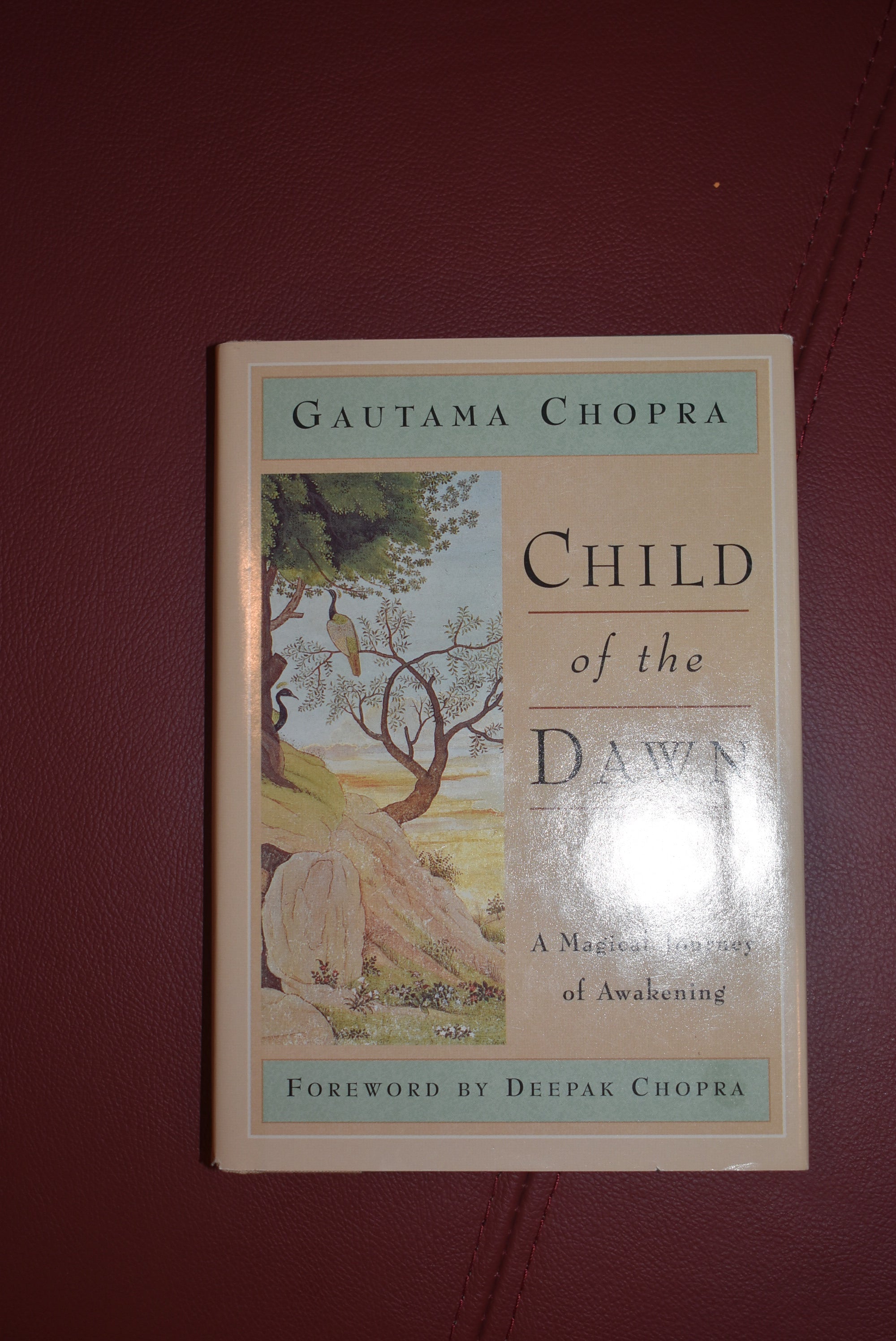 Child of the Dawn: A Magical Journey of Awakening – History Bound
