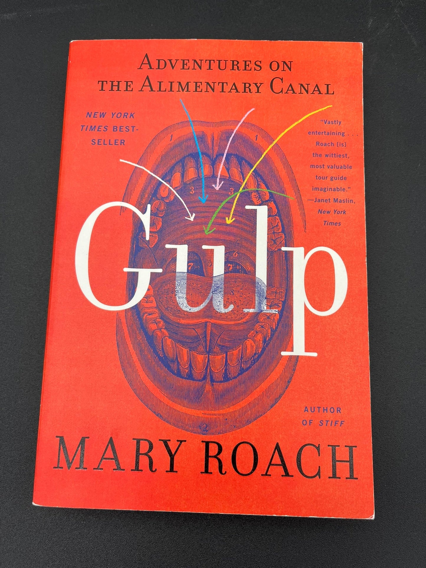 Gulp – History Bound