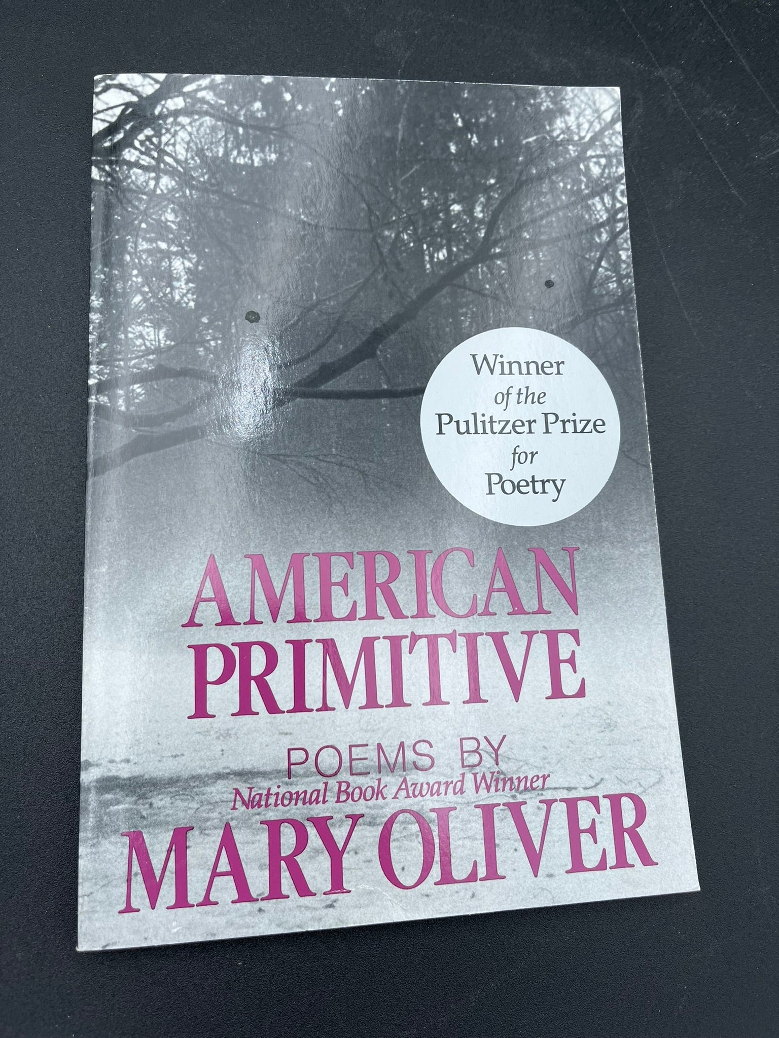 American Primitive – History Bound