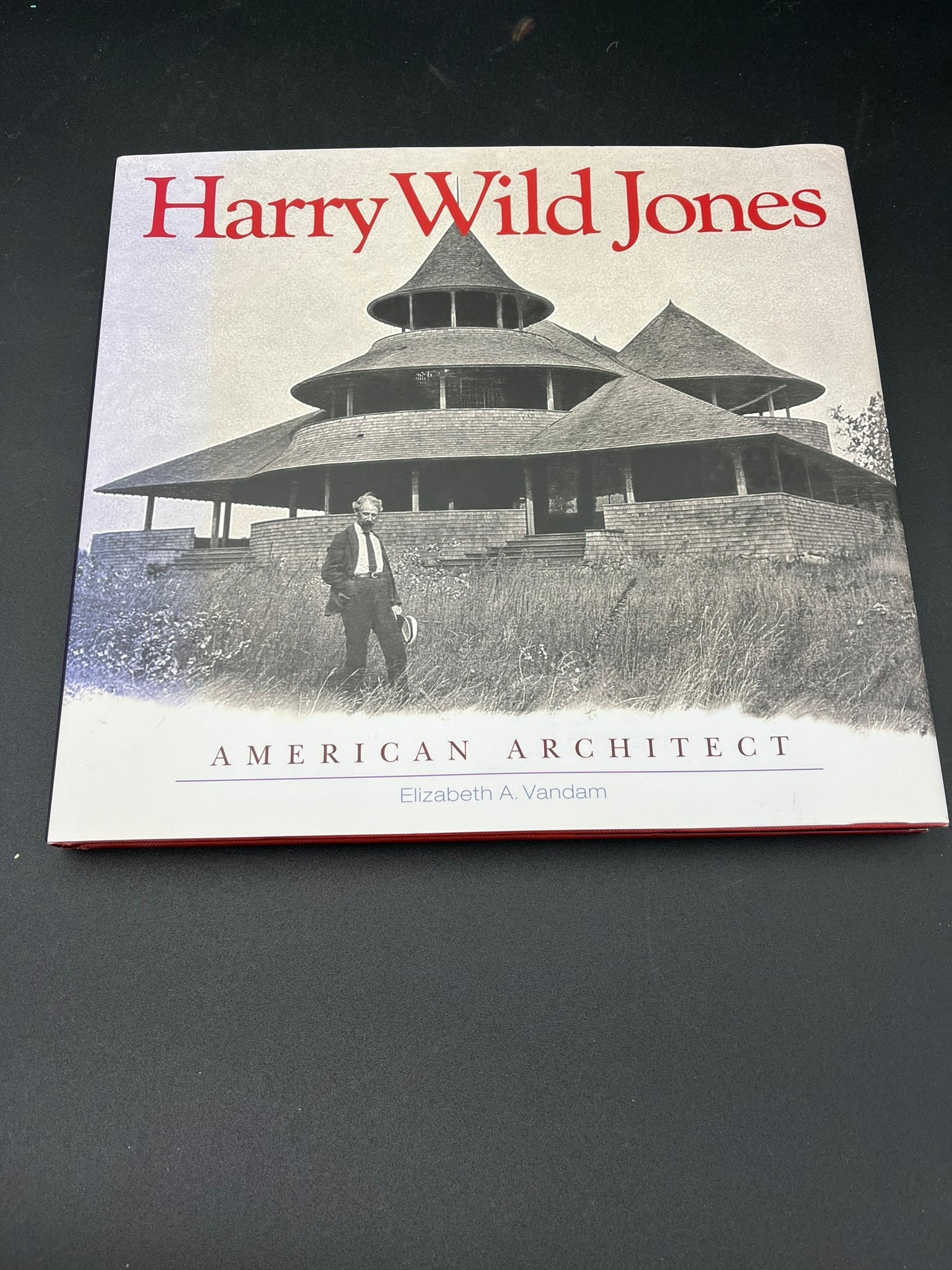 Harry Wild Jones : American Architect – History Bound