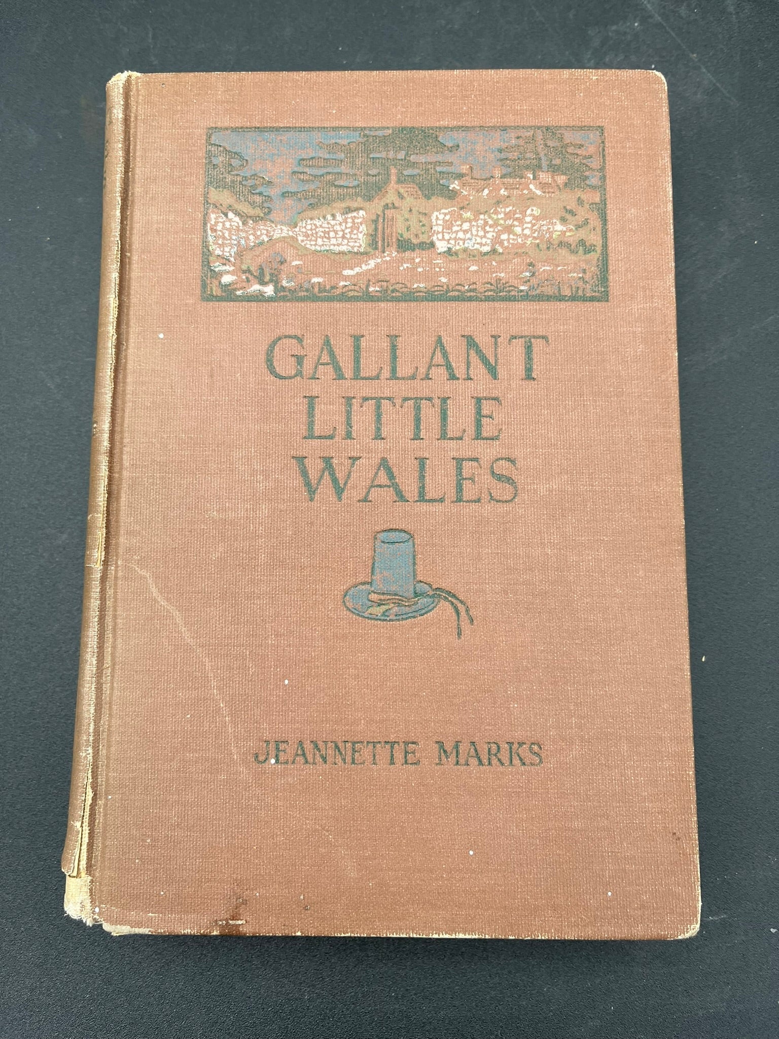 Gallant Little Wales: Sketches of Its People, Places and Customs ...