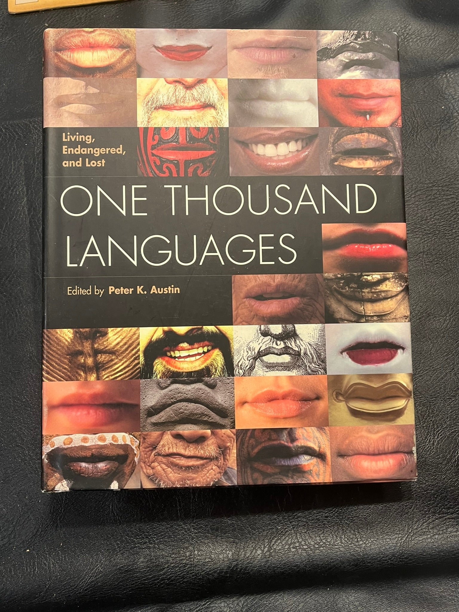 One Thousand Languages – History Bound