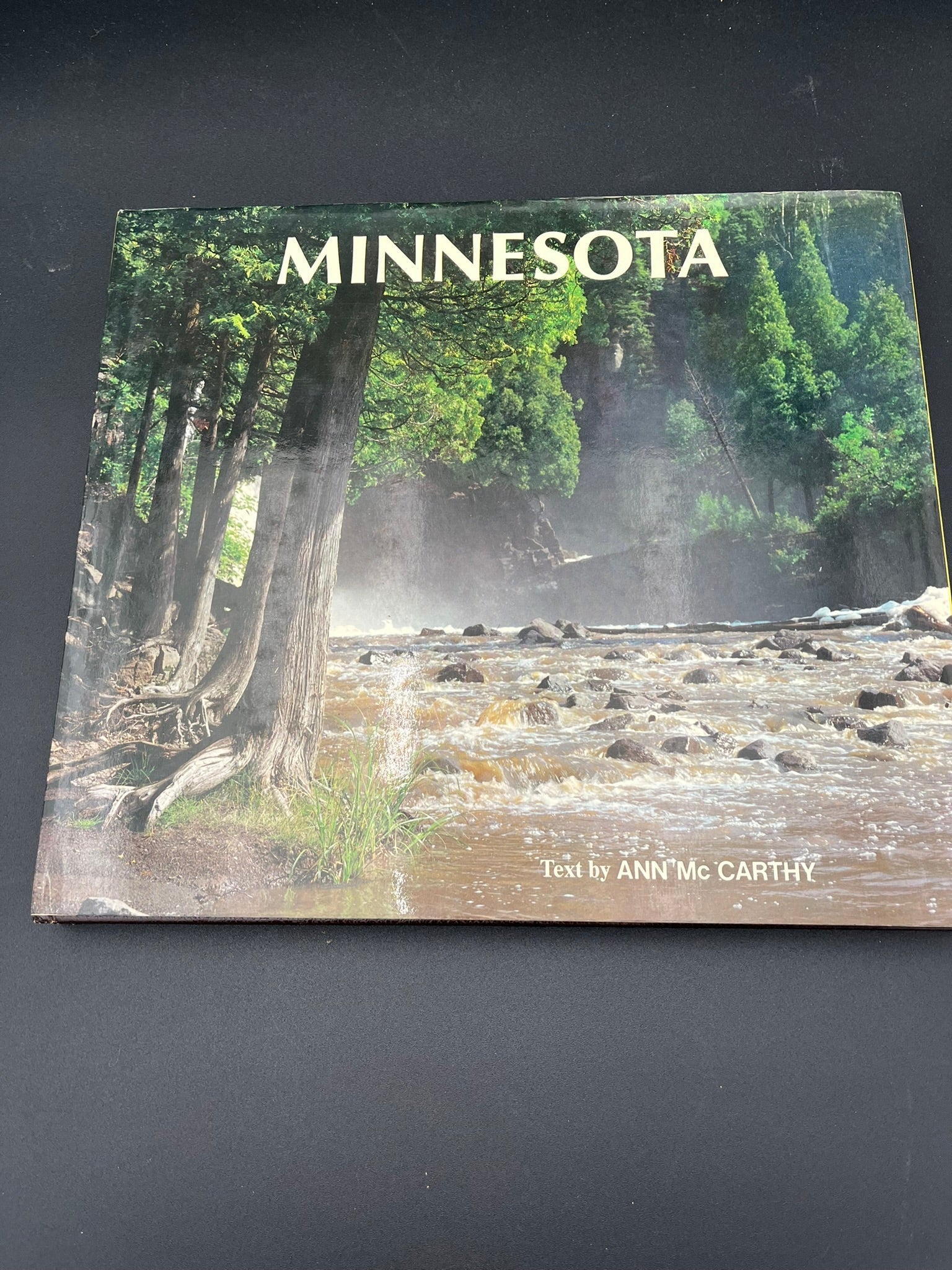 Minnesota – History Bound