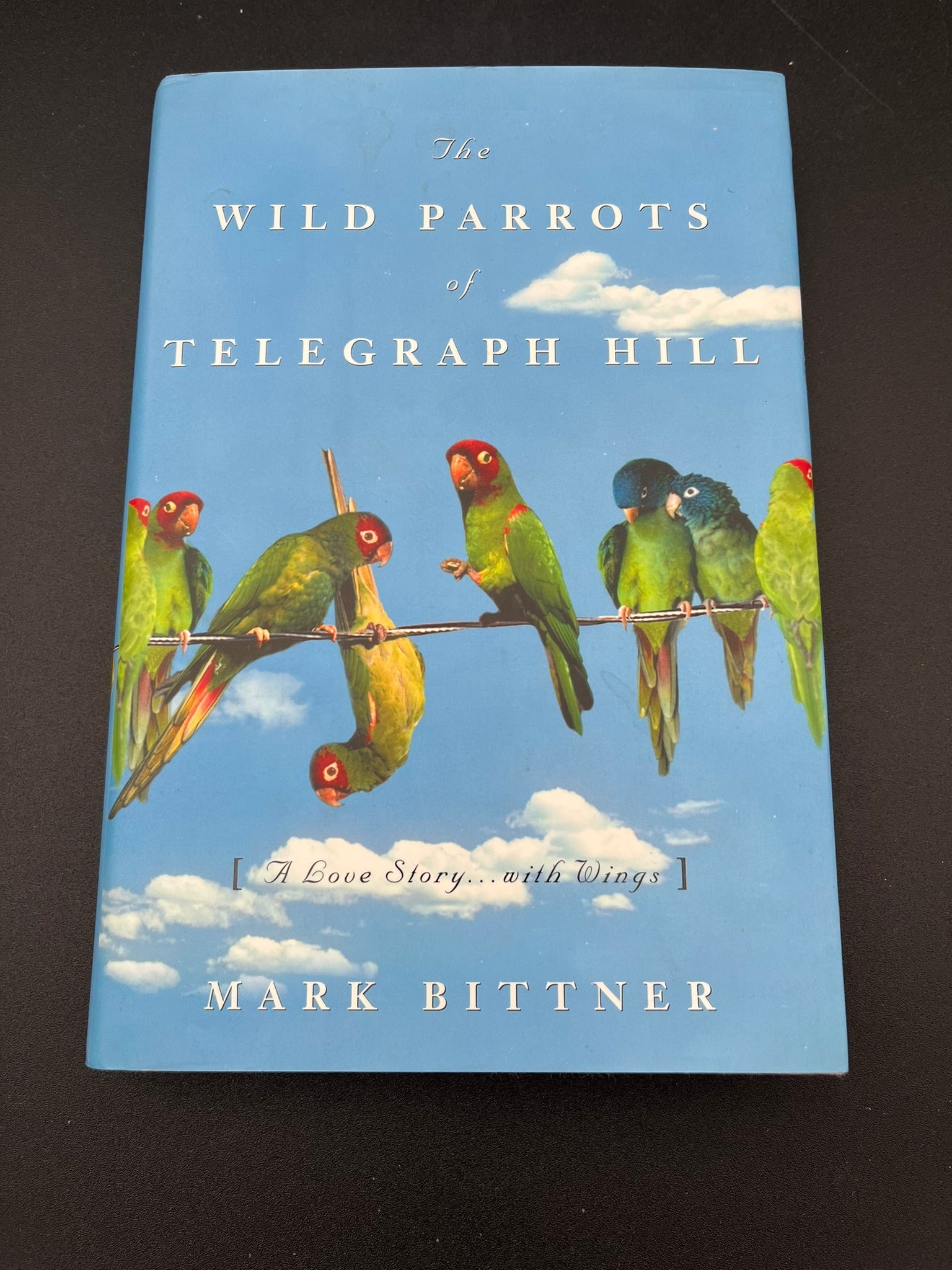 The Wild Parrots of Telegraph Hill – History Bound