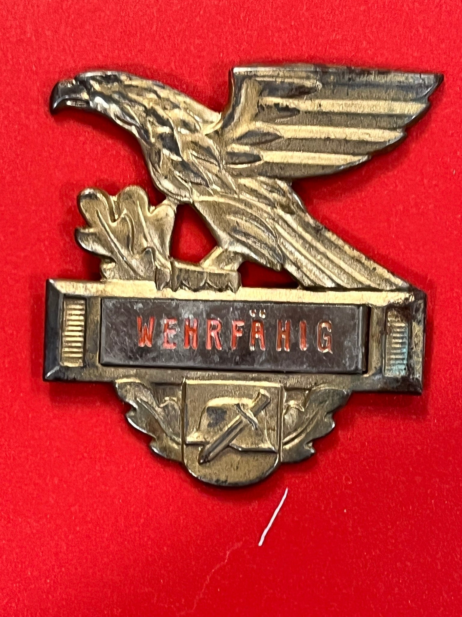 Nazi "Fit for Work" Badge – History Bound
