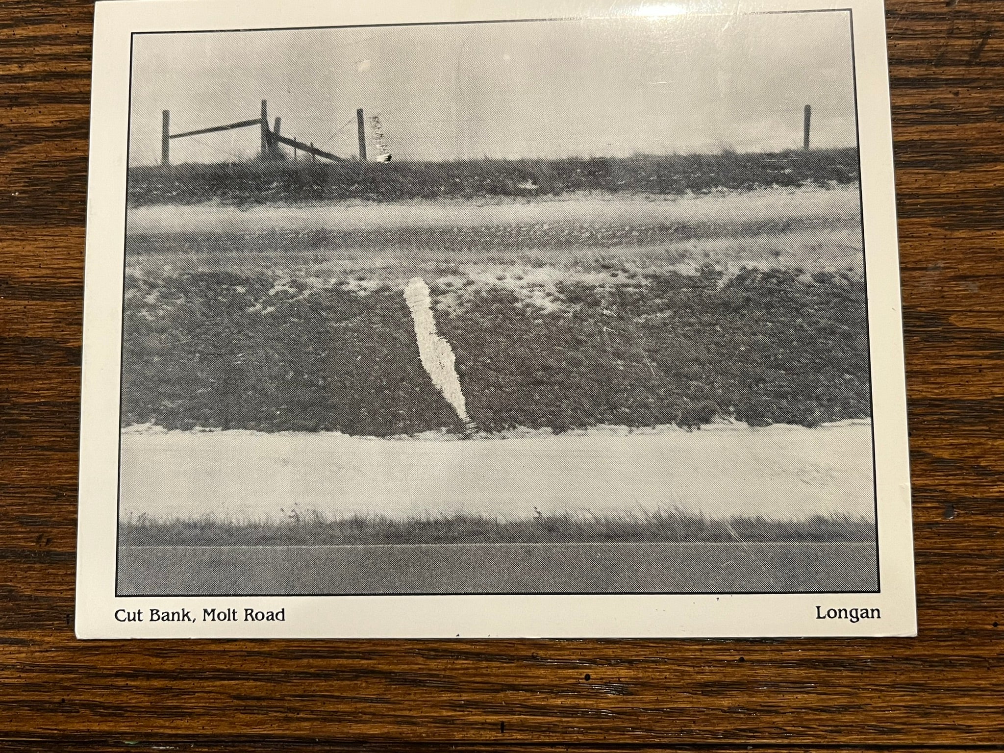 Cut Bank, Molt Road Longan – History Bound