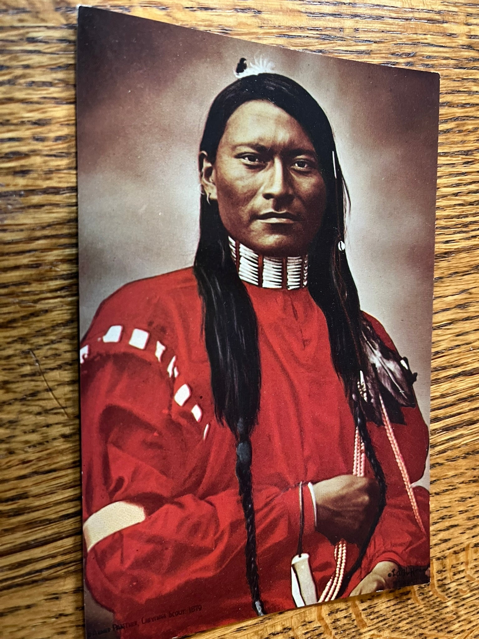 Red Armed Panther History Bound