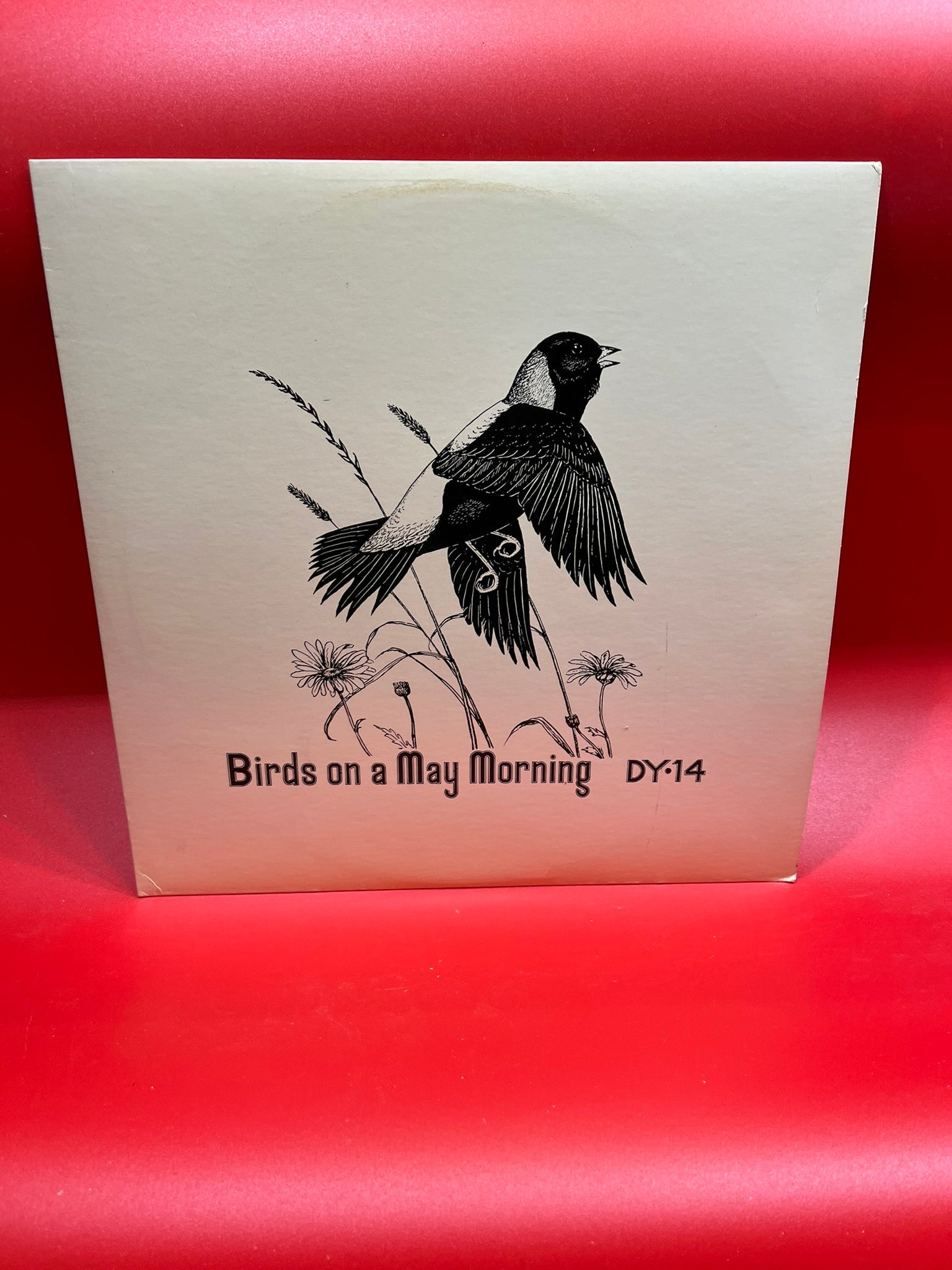 Birds on a May Morning – History Bound
