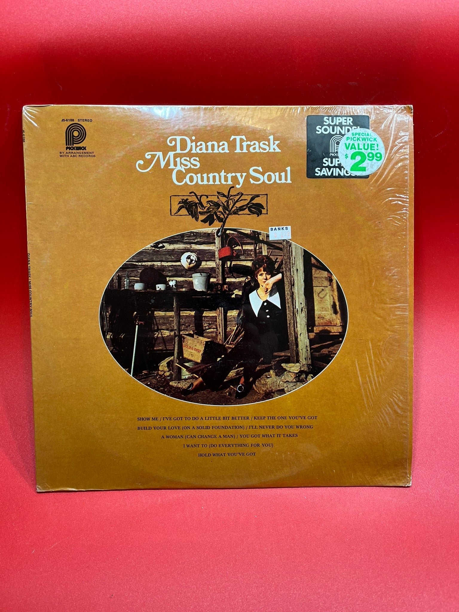 Diana Trask Miss Country Soul – History Bound