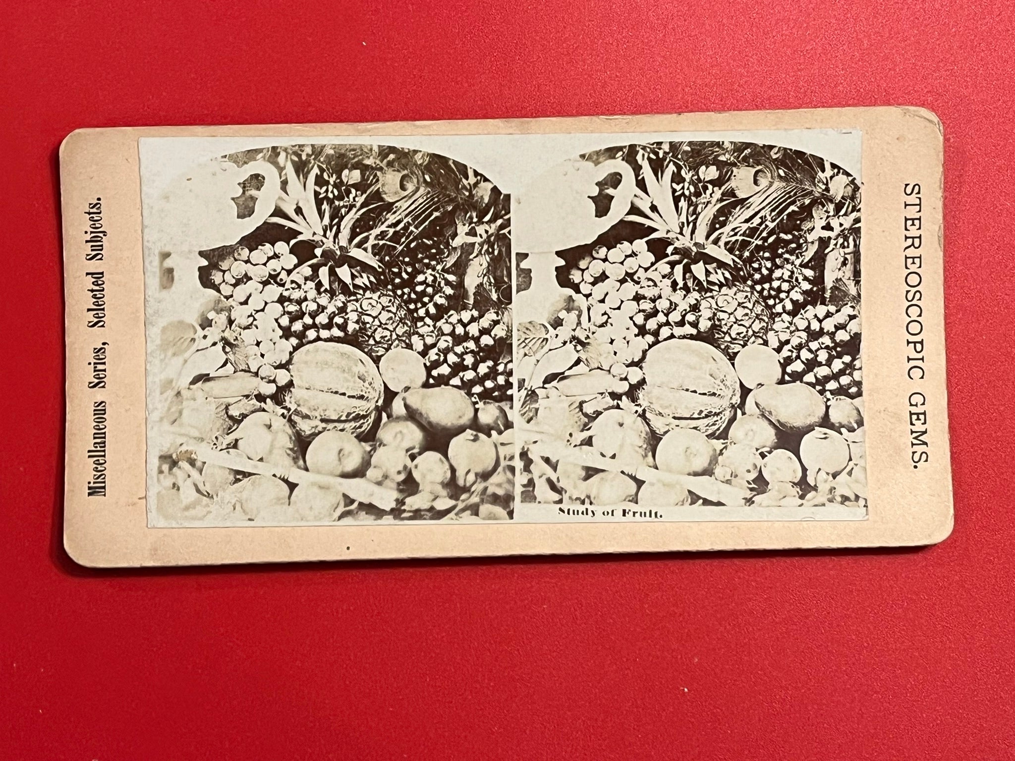 Study of Fruit – History Bound