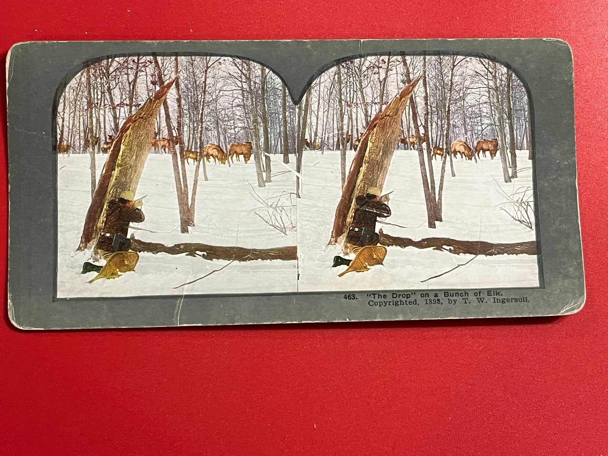 The Drop on a Bunch of Elk – History Bound