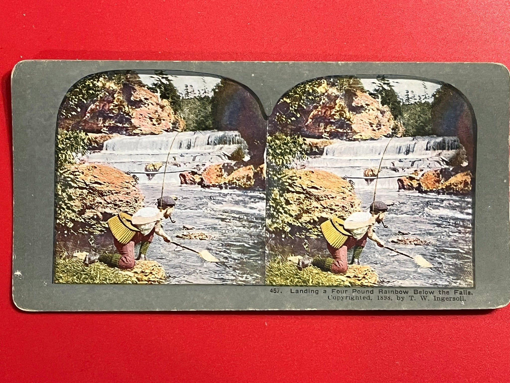 Landing a four Pound Rainbow – History Bound