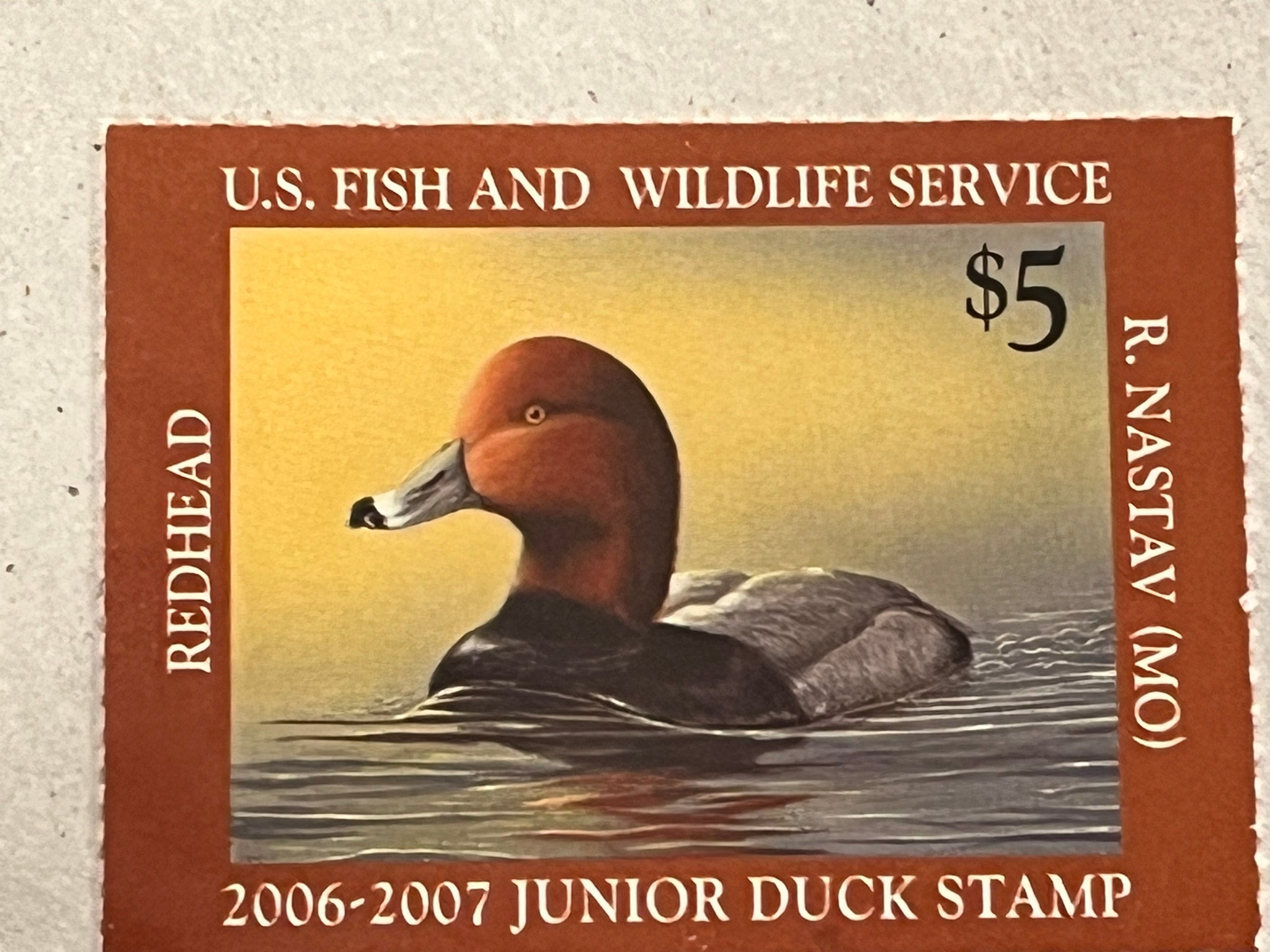 JDS1 Junior Duck Stamp $5. – History Bound