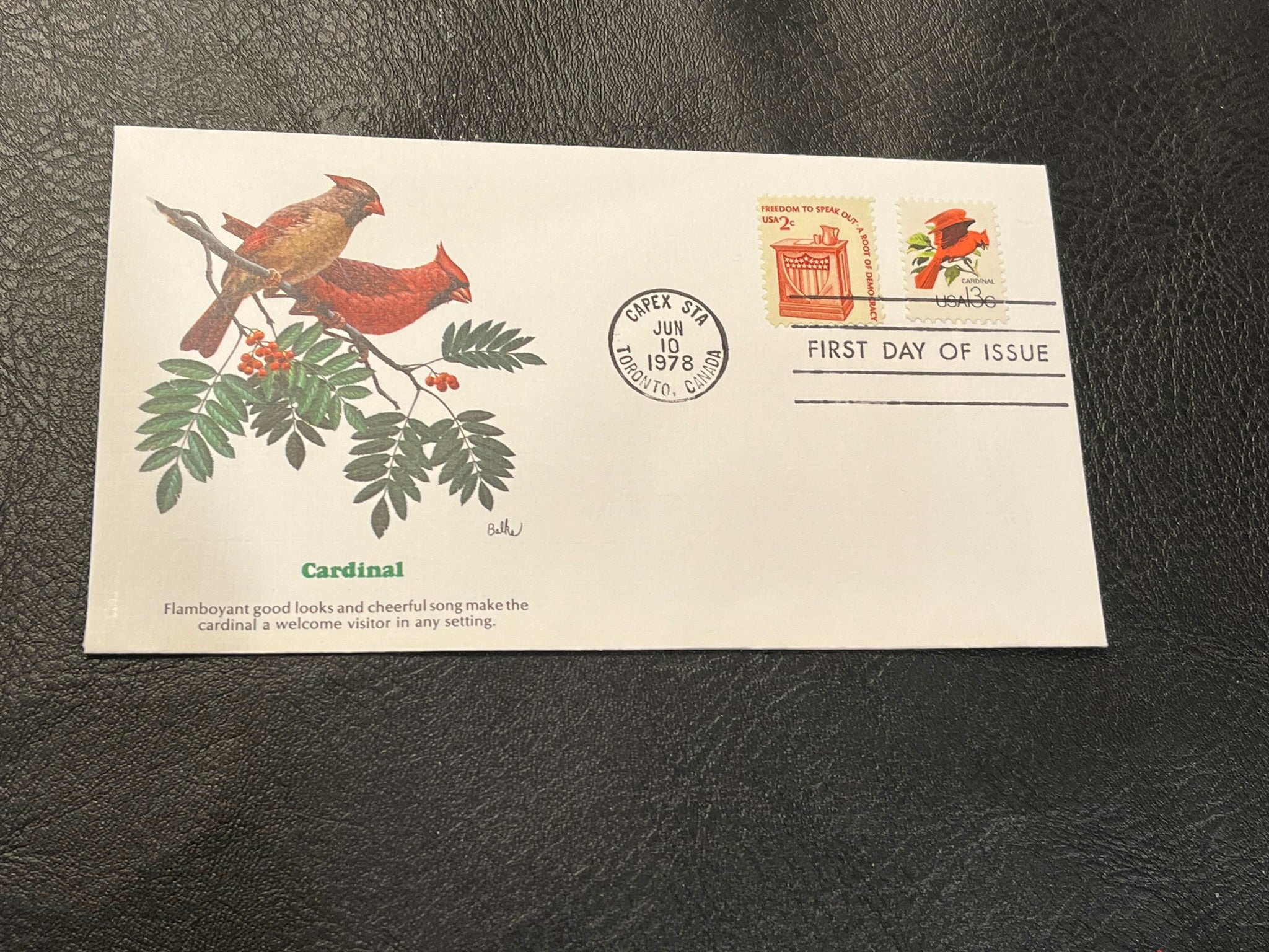 Cardinal – History Bound